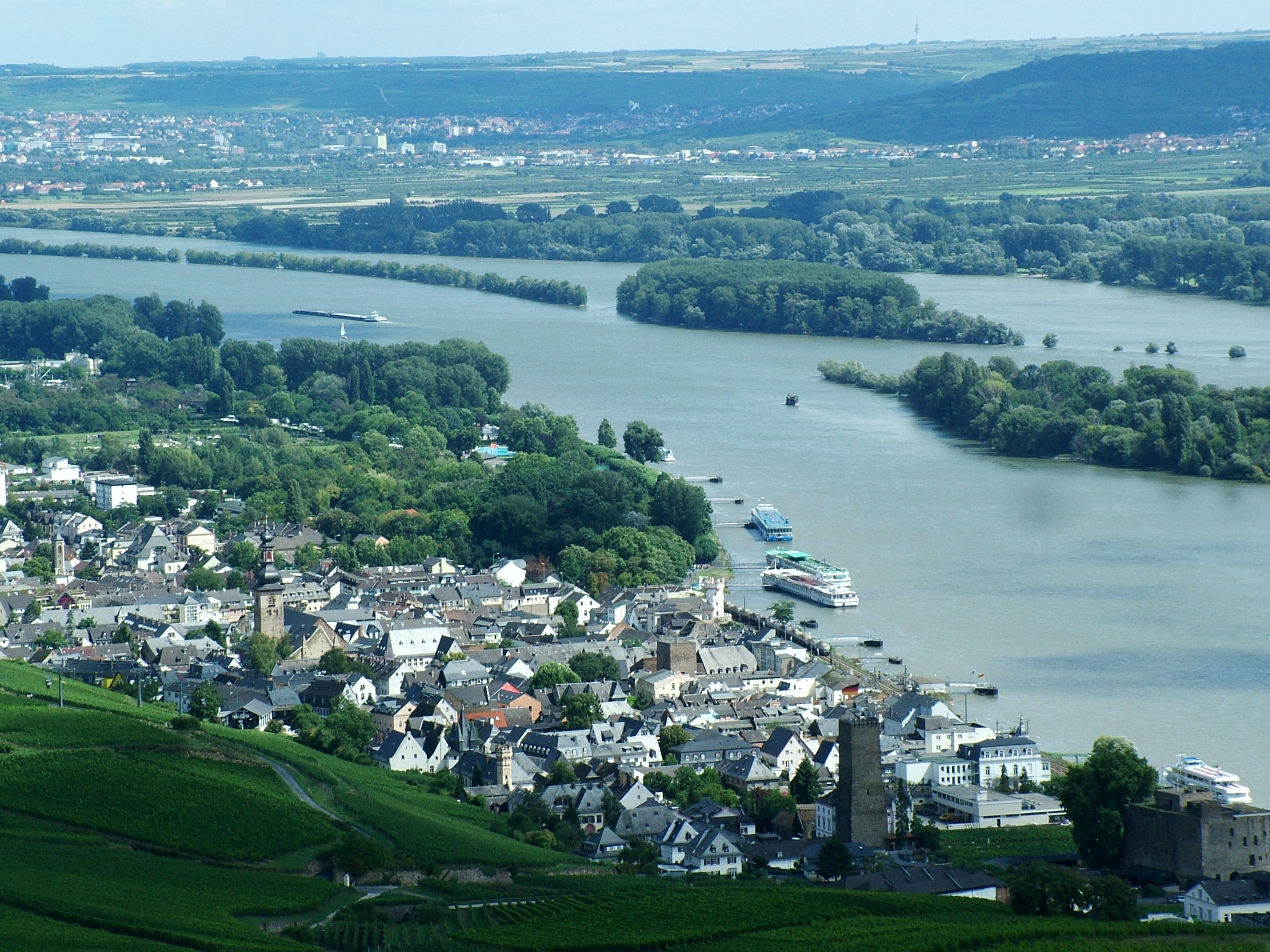 Rüdesheim vom Niederwald